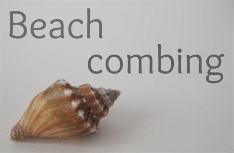 Miss Beatrix Nautical Series Part 3 Beach Combing
