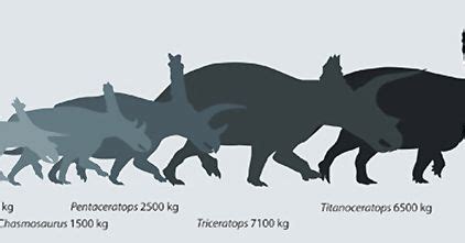 Is Triceratops Bigger Than Torosaurus