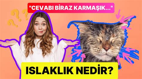 İnsanlar Bir Cismin Islaklığını Nasıl Anlıyorlar Onedio