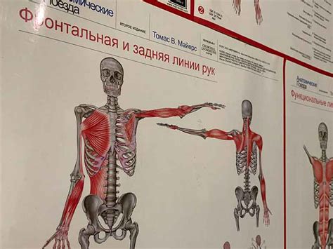 Вертебрологія, Вертебролог у Києві | Консультація, Лікування в центрі ...