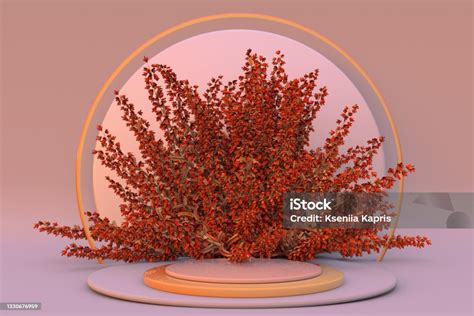 파스텔 배경에 가을 색상 팔레트와 오렌지 나무와 3d 연단 또는 받침대 가을에 대한 스톡 사진 및 기타 이미지 가을 강단