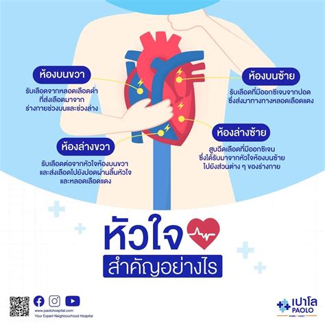สัญญาณเตือน โรคหัวใจ โรงพยาบาลเปาโล Paolo Hospital