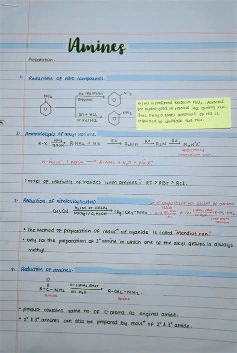 Amines Notes Artofit