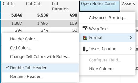 Help Formatting Records And Fields Manually And With Rules Autodesk