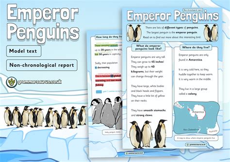 Year 1 Model Text Non Chronological Report Emperor Penguins Grammarsaurus