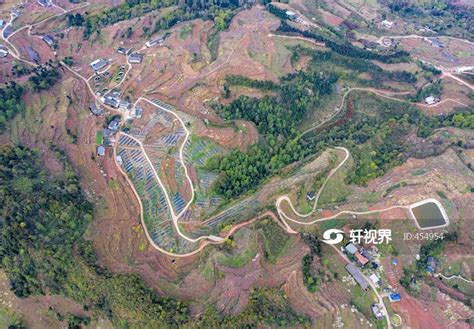 航拍龙泉山桃花故里春色 图片 轩视界