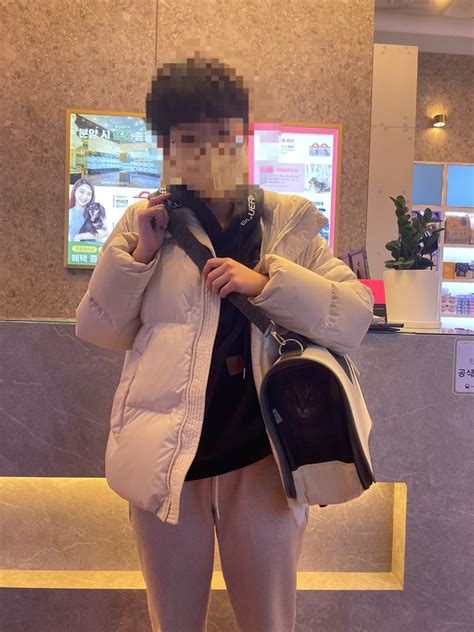 코리안숏헤어 구찌 비숑프리제분양가 유기견 미니비숑 웰시코기분양 스피츠 요크셔테리어분양 먼치킨고양이 노르웨이숲고양이분양 빅토리아펫보호소 입양완료