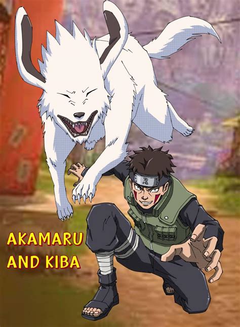 Akamaru And Kiba By Blacktiger911 On Deviantart