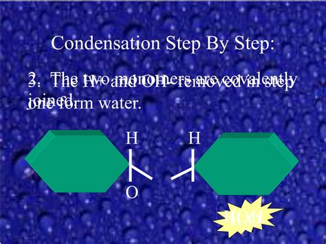 Ppt Condensation And Hydrolysis Powerpoint Presentation Free Download