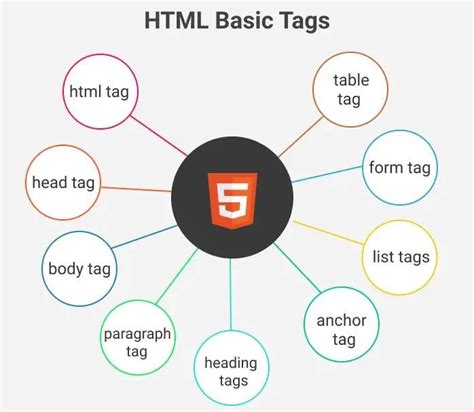 Essential Html Tags For Web Development Aisha Junaid Posted On The
