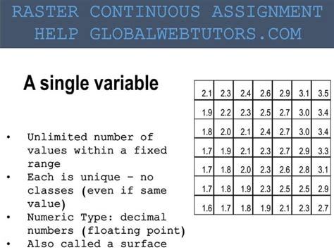 raster gis assignment help ppt