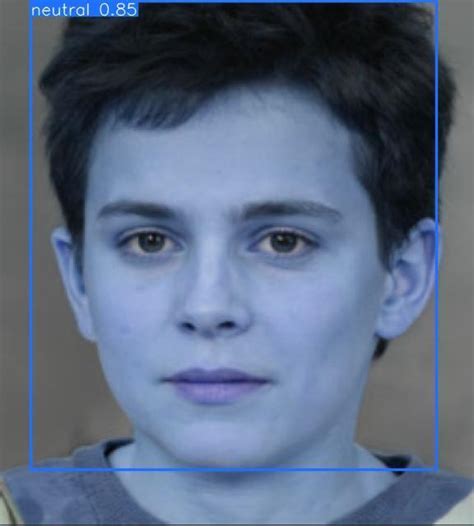 Emotion Recognition Model 5 Steps With Pictures Instructables