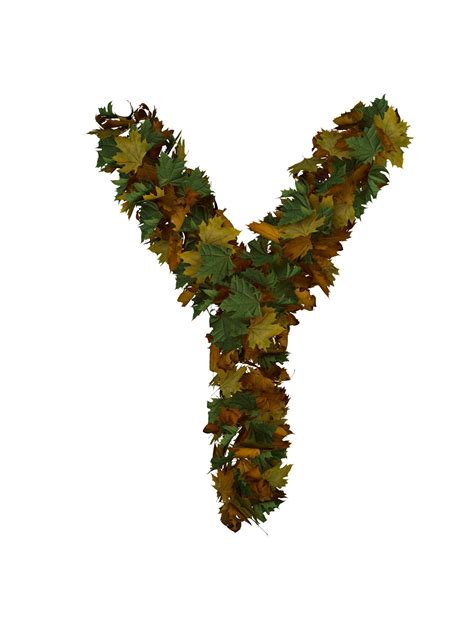 Texte Composé De Caractères Leafe Dautomne Y 12304648 Png