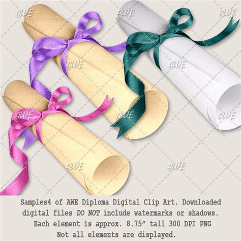 Diploma Or Scroll Digital Clip Art By Awesomescrapper High Etsy Uk