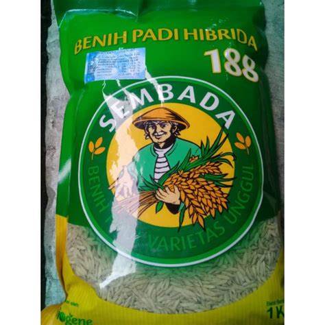 Jual Benih Padi Hibrida Sembada Bibit Padi Unggul Shopee Indonesia