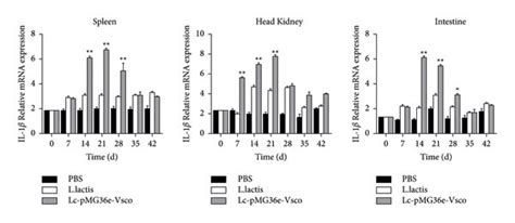Qrt Pcr Analysis Of The Expression Levels Of Immune Related Genes In