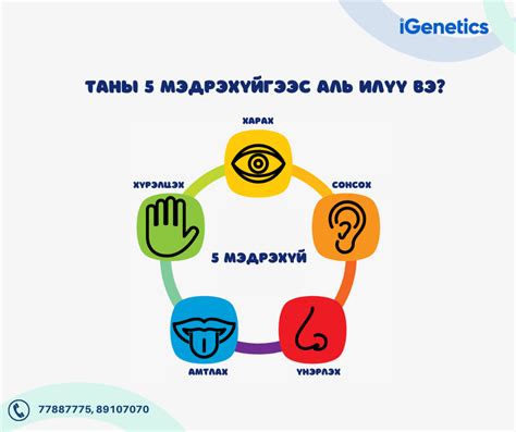 Igenetics Та өөрийн үндсэн 5 үндсэн мэдрэхүйгээс аль нь