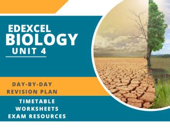 Edexcel Biology Unit 4 Revision Plan Day By Day 20 Files Of Exam Qs