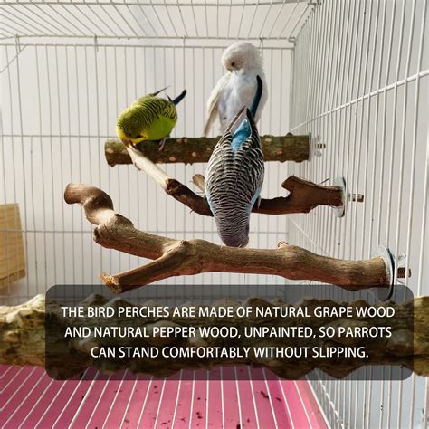 5pcs Bird Perch Stand Natural Wooden Parrot Stand Branch