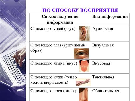 Виды Информации В Информатике Картинки — Картинки фотографии