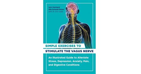 Helios Homeopathy Shop Simple Exercises To Stimulate The Vagus Nerve
