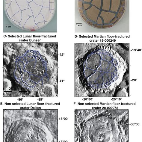 Examples Of Fracture Patterns From Drying Experiments As Well As Download Scientific Diagram