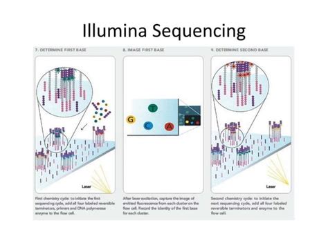 Introduction To Bioinformatics Pdf