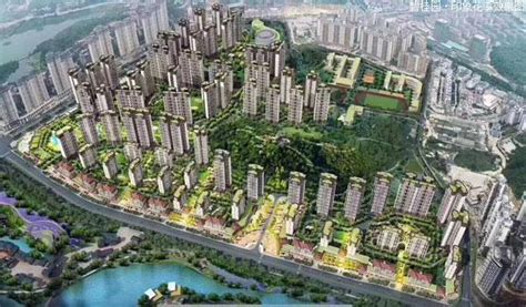 最新消息！碧桂园地产集团被强执7101万