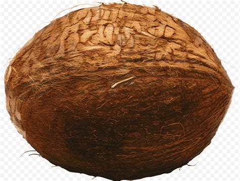 Coco Materia Prima Png Klipartz