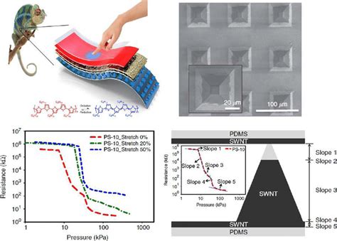 Diagram Of The Relationship Between The Structure Of The Download Scientific Diagram