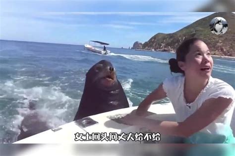 情侣开游艇出海钓鱼，结果却遇上“海盗”，抢完后又来一个游艇海盗结果