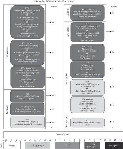 Applied Acmg Amp Classification Steps Incorporating Clingen Download Scientific Diagram