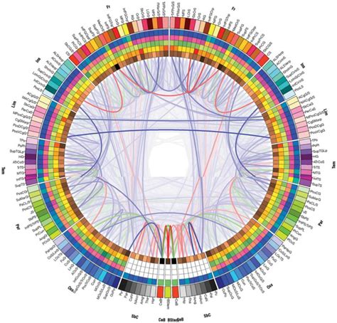 Recurrent Processing Theory And The Function Of Consciousness