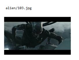 Transfer Learning In Deep Learning Using Tensorflow Online Courses Learning Paths And