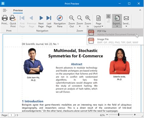 How To Export A Document To Pdf Format Wpf Controls Devexpress