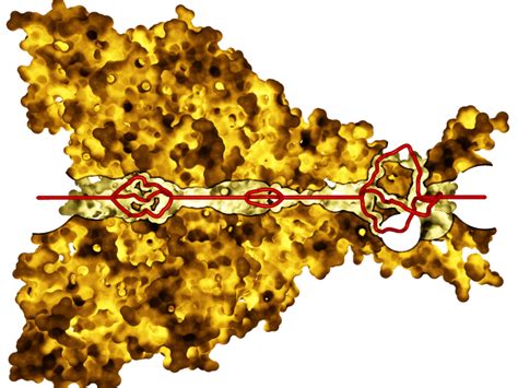 Analysis And Visualization Of Molecular Structures Zibde