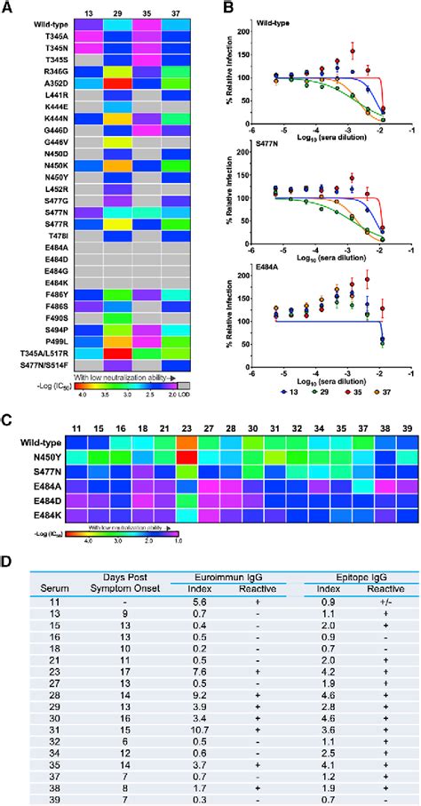 Figure 4 From Identification Of Sars Cov 2 Spike Mutations That Attenuate Monoclonal And Serum