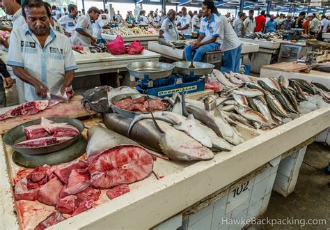 Деликатес в анголе 69 фото картинки и фото Vostorg Buzz