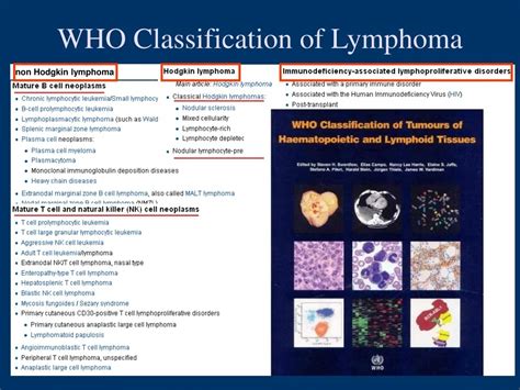 Ppt Lymphoma Powerpoint Presentation Free Download Id9591183
