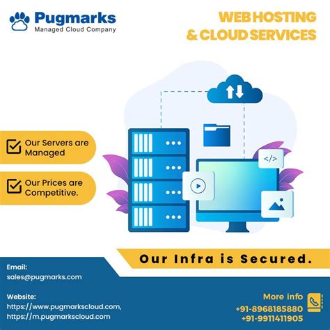 Cloudsecurity Cloudservices Securecloud Cloudcomputing Pugmarks
