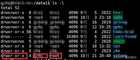 解决：vscode和jupyter远程连接无法创建、删除文件的问题（permission denied） jupyter删除文件出错