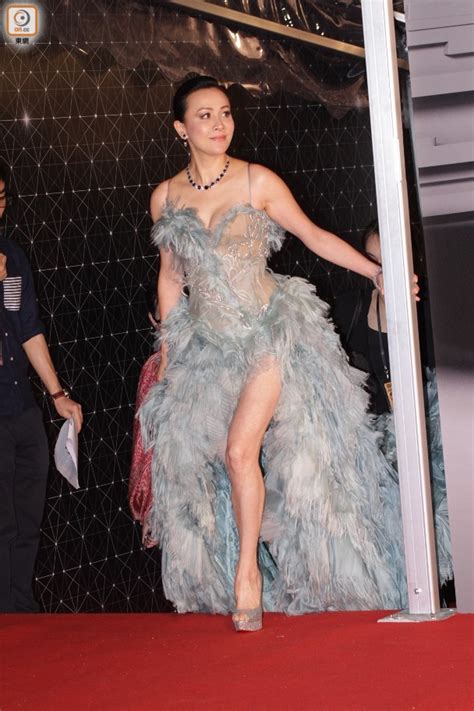 紅地氈：劉嘉玲性感露腿 想學友攞影帝｜即時新聞｜繽fun星網｜oncc東網