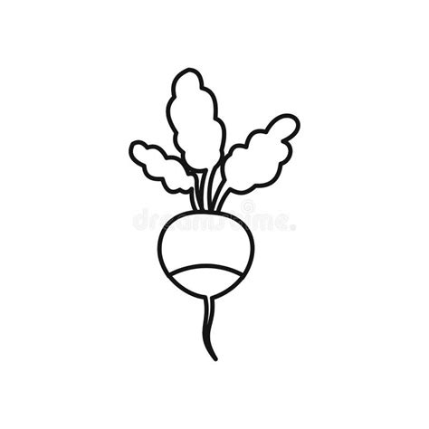 Farm Radish Icon Isometric Style Stock Vector Illustration Of
