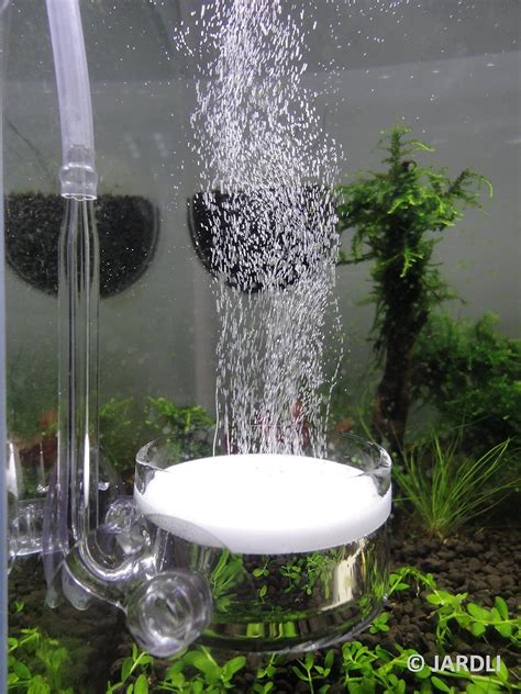 Help With Design For CO2 Diffuser For Bottom Diffuser The Planted Tank Forum