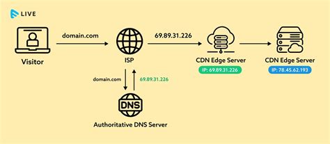 Live Streaming Cdns All You Need To Know Muvi One