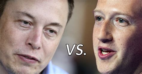 Elon Musk Y Mark Zuckerberg Se Desafiaron A Pelear En Una Jaula Infobae