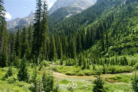 Cascade Canyon Grand Teton Wyoming Parks Forests Usa Hd Wallpaper