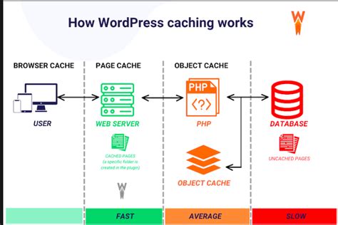 WordPress Cache Plugins Importance Benefits And Best Uses