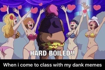 One Piece Anime Amino