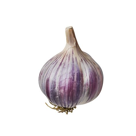 Ai Generated Clear Garlic Bulb Design Kit 41278498 Png